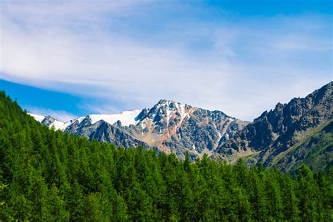 눈 덮인 산 푸른 맑은 하늘 아래 숲 속된 언덕 뒤에 가기 침 엽 수림 숲 위에 바위 능선입니다 장엄한 자연의 대기 최소한의 풍경입니다 0명에 대한 스톡 사진 및 기타