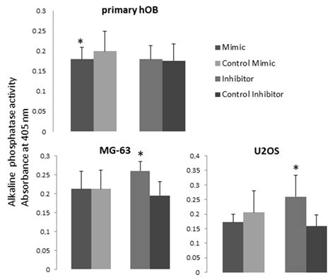 Effect Of The Tumor Suppressor Mir 320a On Viability And Functionality Of Human Osteosarcoma
