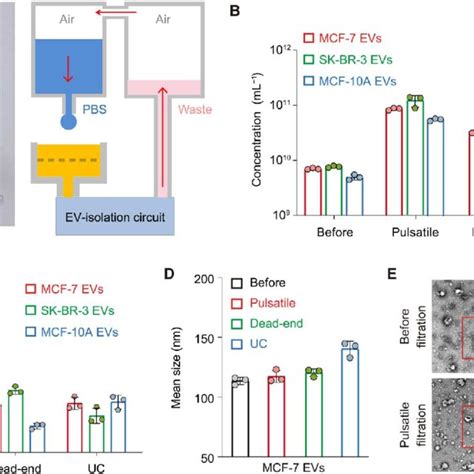 Pulsatile Filtration Of Evs By A Microfluidic Ev Isolation Circuit A