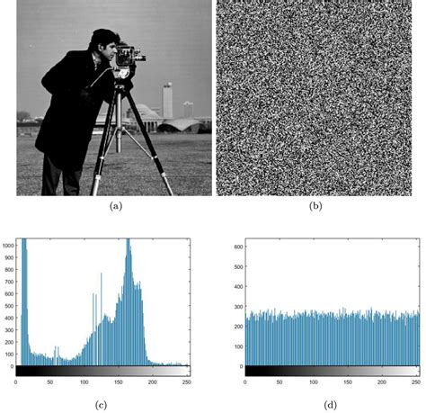 Simulated Results Of The Proposed Image Encryption Algorithm A