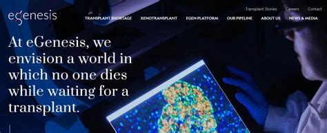 世界首例经过基因编辑的猪肾脏人体移植手术成功丨再创快讯 行业动态 文章中心 Api 原料药 医药中间体 喹啉 喹唑啉 噻唑 生命科学 分子砌块 氨基酸 硼酸 毕科 氘代 吡啶 螺