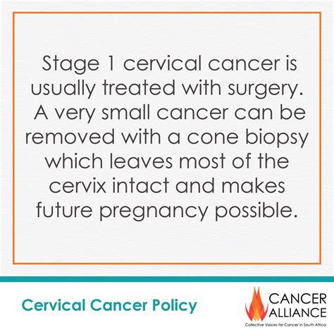 Cervical Cancer Policy 4 Timely Treatment And Palliative Care For Invasive Cervical Cancer