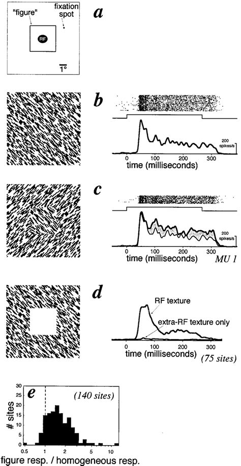 Extra Rf Contextual Modulation For Orientation Defined Texture Figures