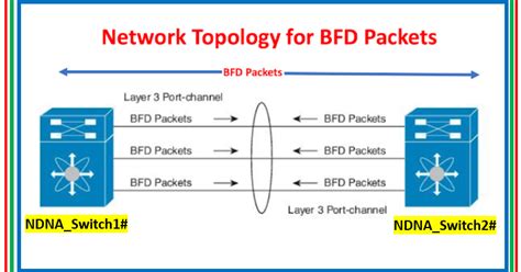 Bgp Protocol Bfd C Bit Feature The Network Dna