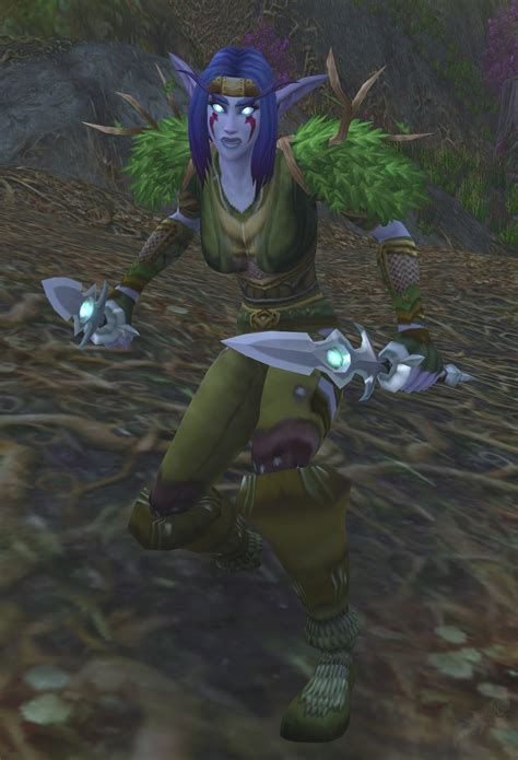 Ashenvale Assassin Npc World Of Warcraft