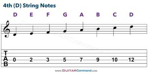 Guitar Strings Notes Chart Tab Info Tune Up Master The Fretboard