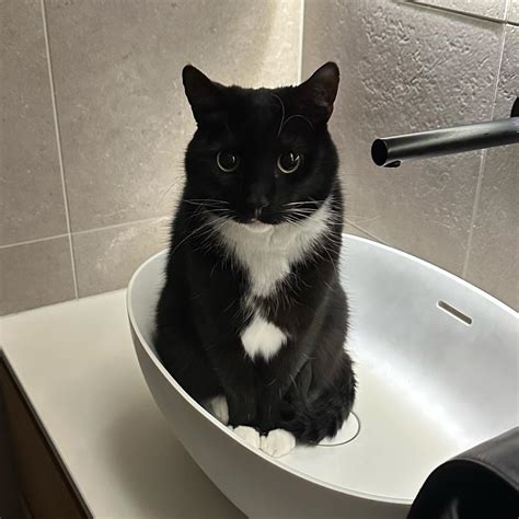 Marcus Marcus Threads Say More