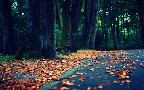 Cycle Hd Background Wallpapers Photography Wallpaper Desktop