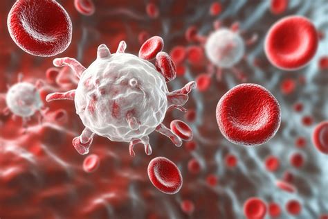 Neutropenia Md Searchlight