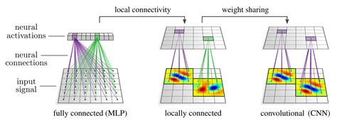 Convolutional Networks And Translation Equivariance Maurice Weiler