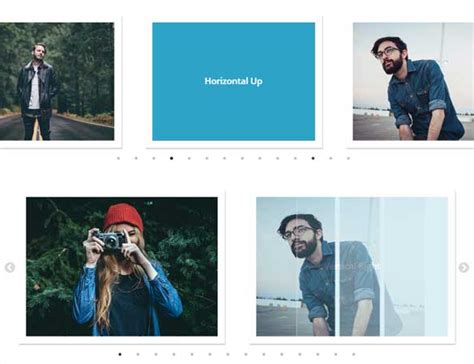 image caption hover webcodingplace demos