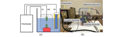 A Schematic Illustration Of The Electrochemical Cell B Photograph Download Scientific
