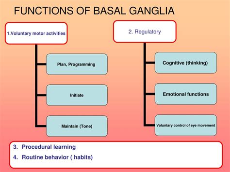 PPT BASAL GANGLIA PowerPoint Presentation Free Download ID 4137067