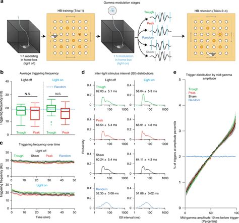Types Of Gamma Modulation And Their Stimulation Properties A Hb Download Scientific Diagram