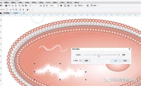 Coreldraw绘图课程 一试就会,带你轻松绘制磷脂双分子层 知乎 Coreldraw绘图课程 一试就会,带你轻松绘制磷脂双分子层 知乎
