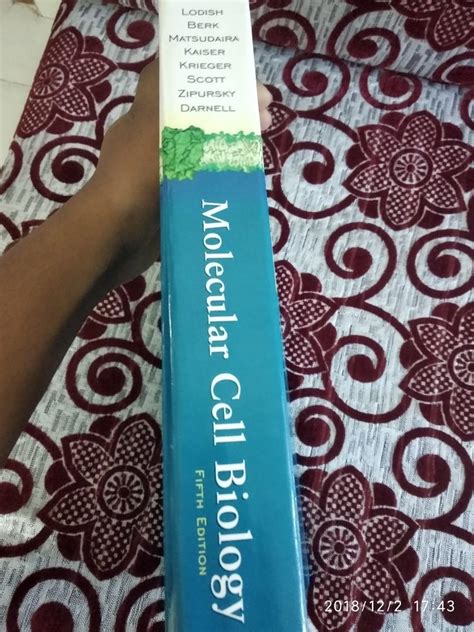 Molecular Cell Biology Hobbies And Toys Books And Magazines Assessment
