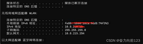 Nginx配置支持ipv6访问,ipv4改造ipv6nginx Ipv6 Csdn博客 Nginx配置支持ipv6访问,ipv4改造ipv6nginx Ipv6 Csdn博客