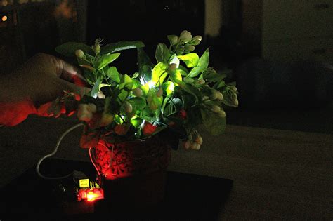 Avatar Plant Touch Sensitive 5 Steps With Pictures Instructables