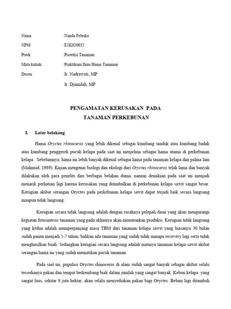 Laporan Iht Ke 5 Nanda Febrika E1k020032 Pdf