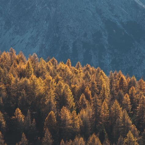 Best Nature Ipad Pro Hd Wallpapers Ilikewallpaper