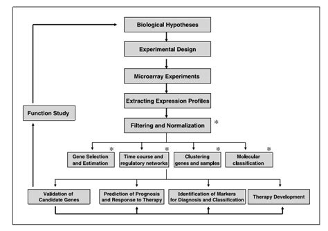 Schematic Representation Of Microarray Analysis In Association With The Download Scientific