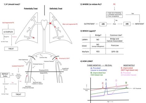 Hematology Archives Teachim