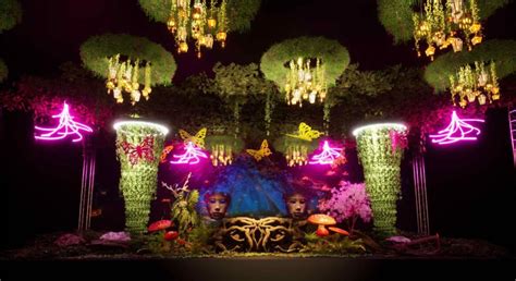 Jungle Themed Events Venue Styling And Transformation