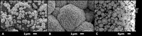 Platinum Coverage Of The Titanium Hollow Fibre Electrode A Sem Image Download Scientific