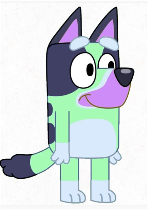 Literally Every Bluey Oc Its Original Rbluey
