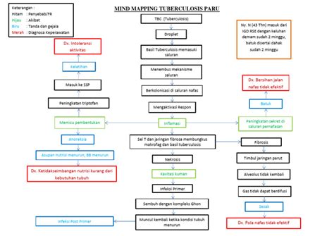 Mind Mapping Tuberculosis Paru Pdf