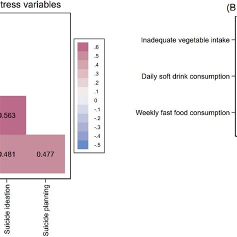 Correlation Matrices For A Psychological Distress Variables And B Download Scientific