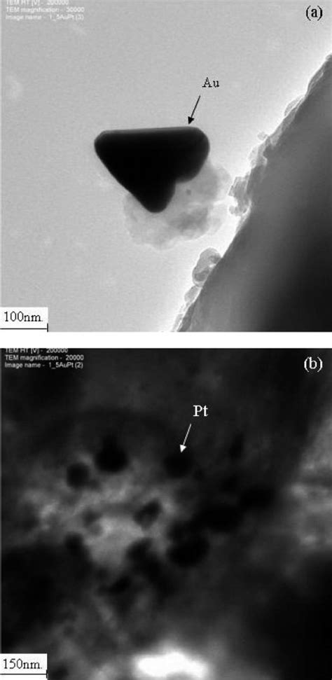Comparison Of The Overall Activities Of The Single And Double Download Scientific Diagram