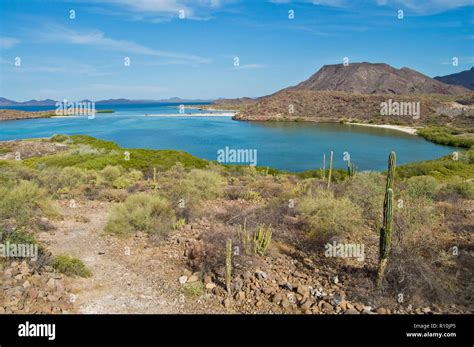 El Requeson Beach Showing The Beauty In Nature Located In Conception