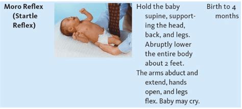 Newborn Reflexes Exams Naxlex Nursing