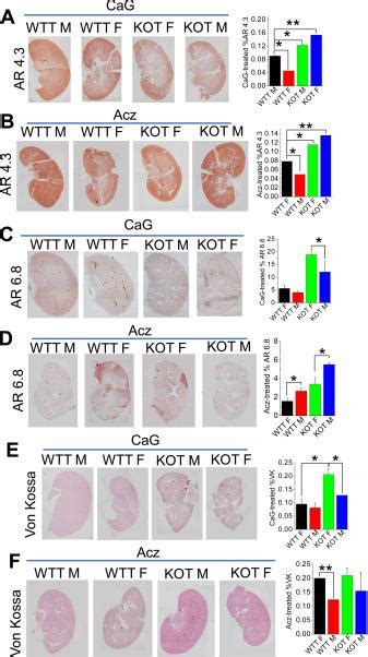 Bidhan Bandyopadhyay On Linkedin Sex Specific Stone Forming Phenotype In Mice During