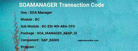 Soamanager Sap Tcode For Soa Manager