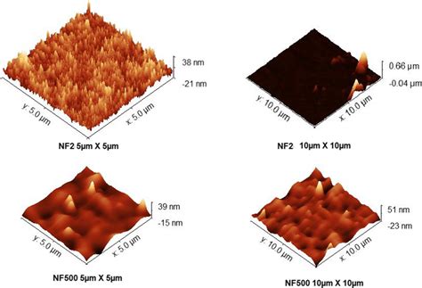 Surface Morphology Of Nanofiltration Membranes Observed Using Atomic Download Scientific