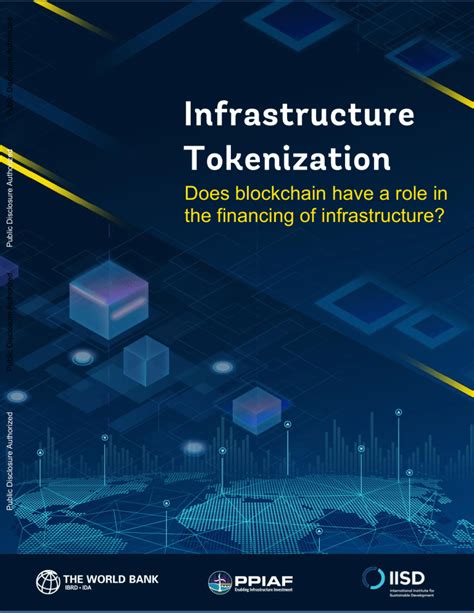 World Bank Tokenization Report