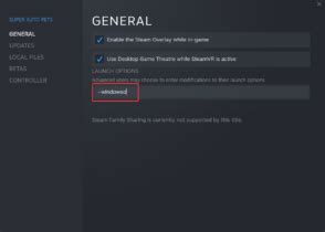 Steam Launch Options Windowed Easy Ways To Run This Option