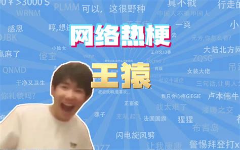 【网梗课代表】王猿是什么梗 网梗课代表 网梗课代表 哔哩哔哩视频
