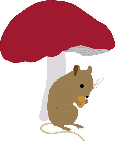 Free Field Mouse Clipart Download Free Field Mouse Clipart Png Images