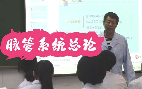 脉管系统 脉管系统总论 系统解剖学 博士老师 博士老师 哔哩哔哩视频