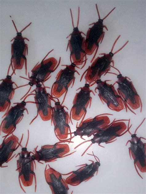 Realistic Prank Toy Set Spider Cockroach And Reptile Perfect Choice