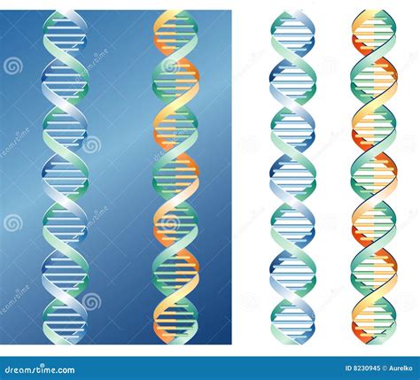 Dna Graph Stock Vector Illustration Of Blue Color Strand 8230945