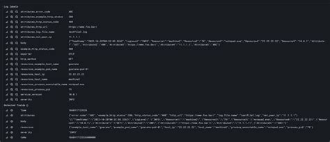 Exporterloki Attributes And Resources Has A Attributes And Resources Prefix In Loki