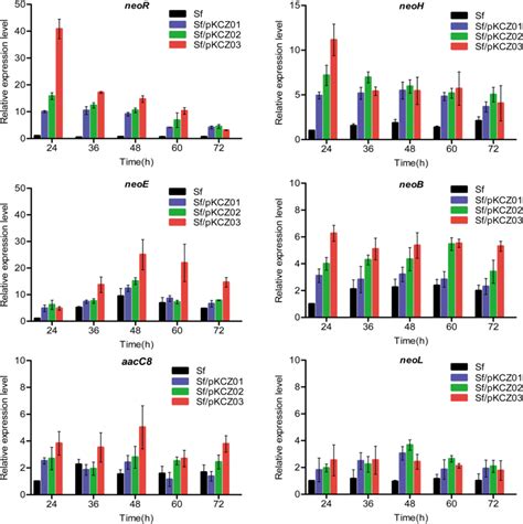 Rt Qpcr Transcriptional Analysis Of Genes Involved In Neomycin Download Scientific Diagram