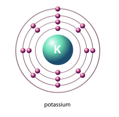 Potassium Model