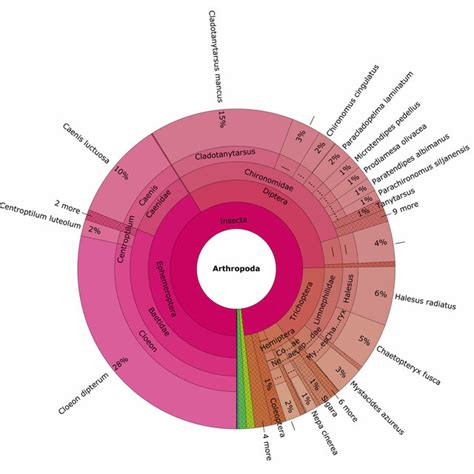 B Exemplary Edna Metabarcoding Data Analysis Results Krona Charts Download Scientific