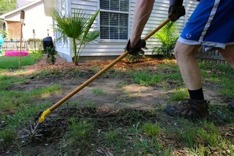 How To Remove Grass 4 Easy DIY Methods