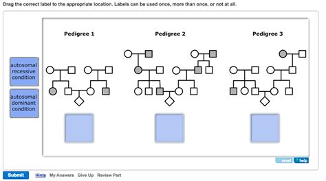 Solved Drag The Correct Label To The Appropriate Location